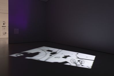 Paul Chan. 1st Light. 2005 | MoMA