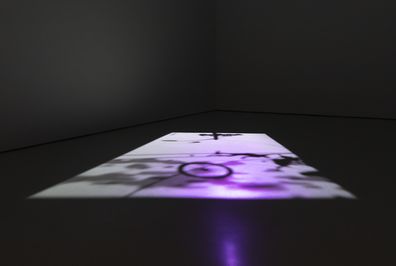 Paul Chan. 1st Light. 2005 | MoMA