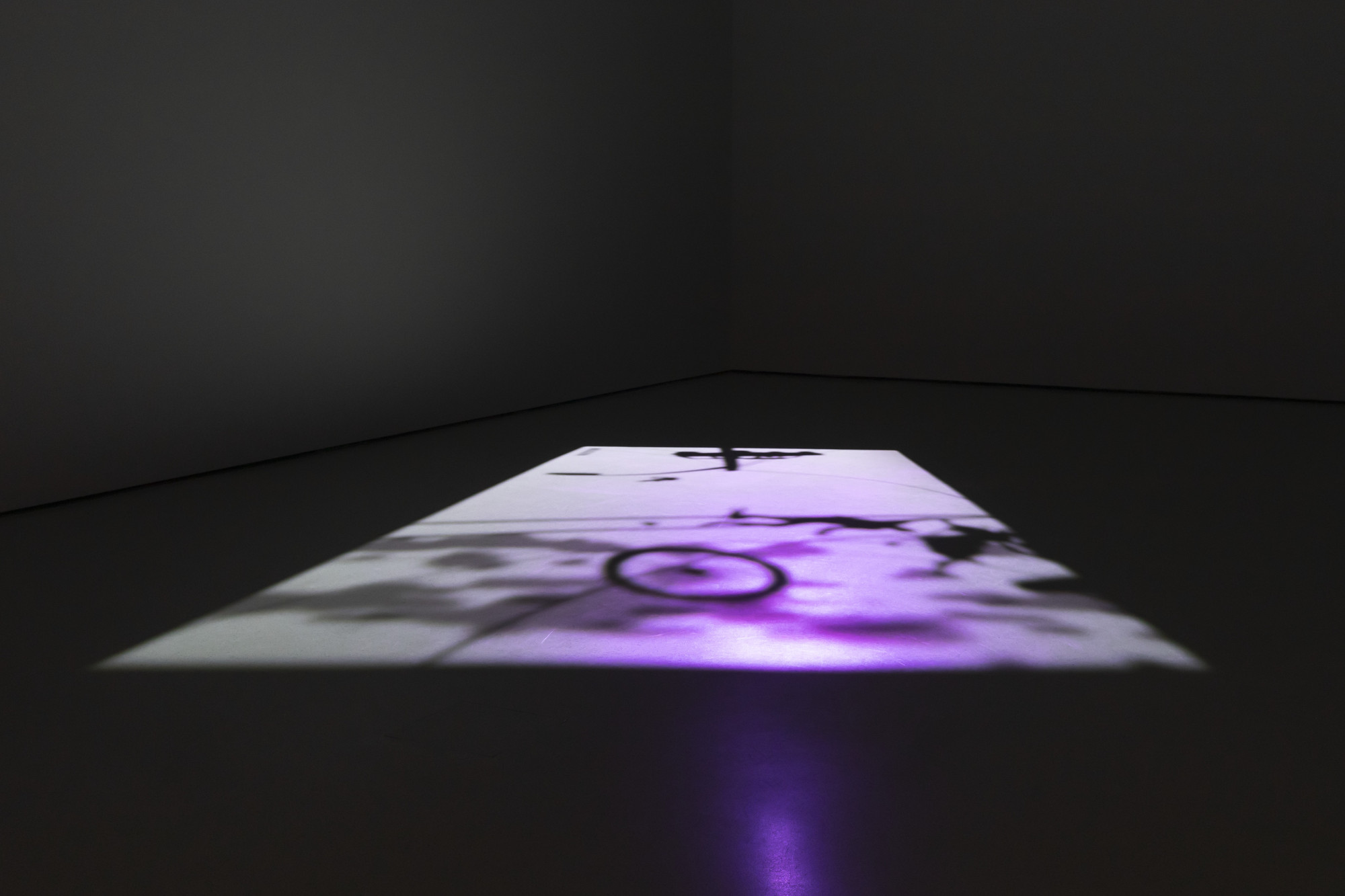Installation view of the gallery "Paul Chan’s 1st Light" in the ...