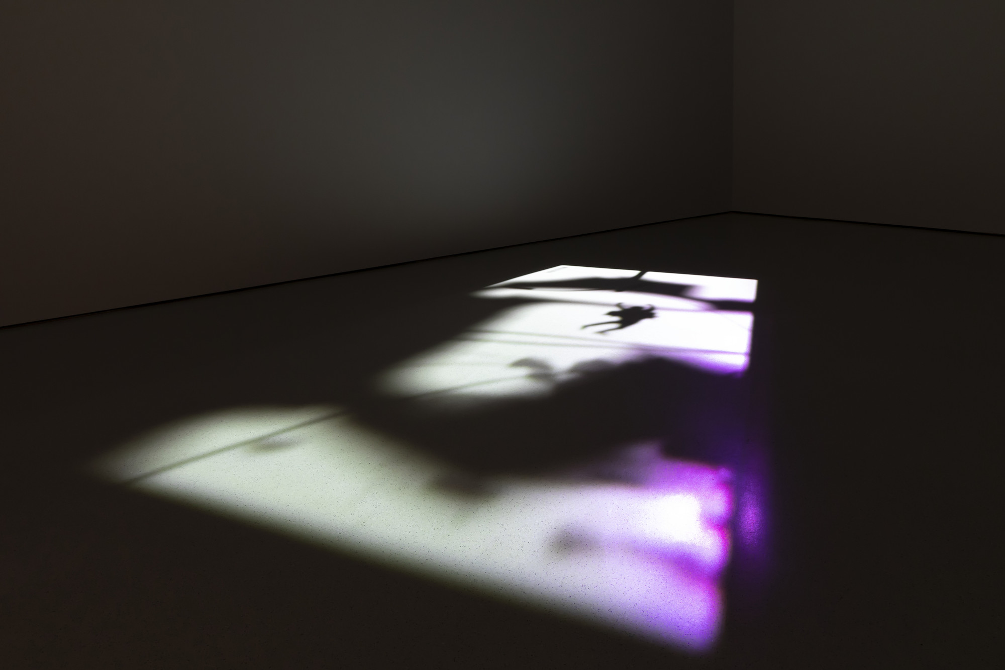 Installation view of the gallery "Paul Chan’s 1st Light" in the ...