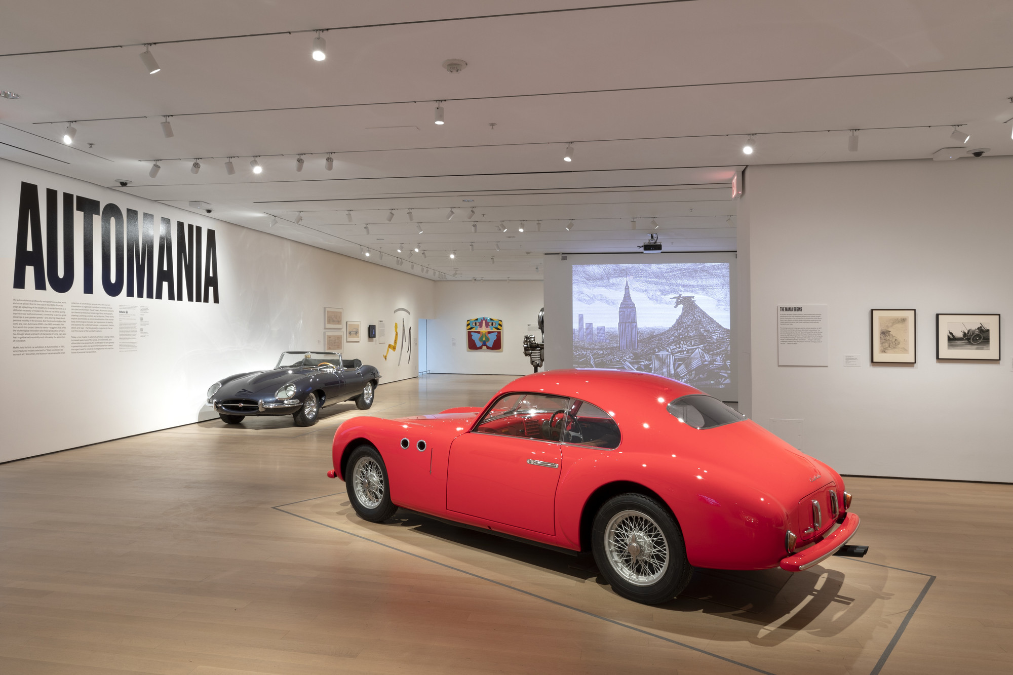 Installation view of the exhibition "Automania" | MoMA