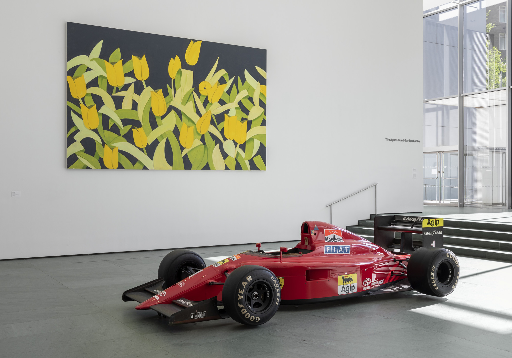 Installation view of the exhibition "Automania" | MoMA