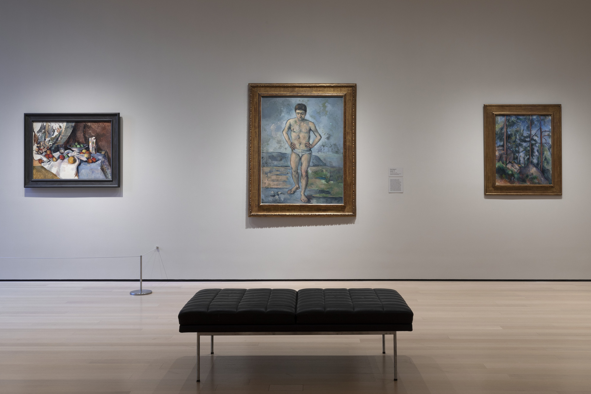 Installation view of the gallery "Lillie P. Bliss" in the exhibition ...