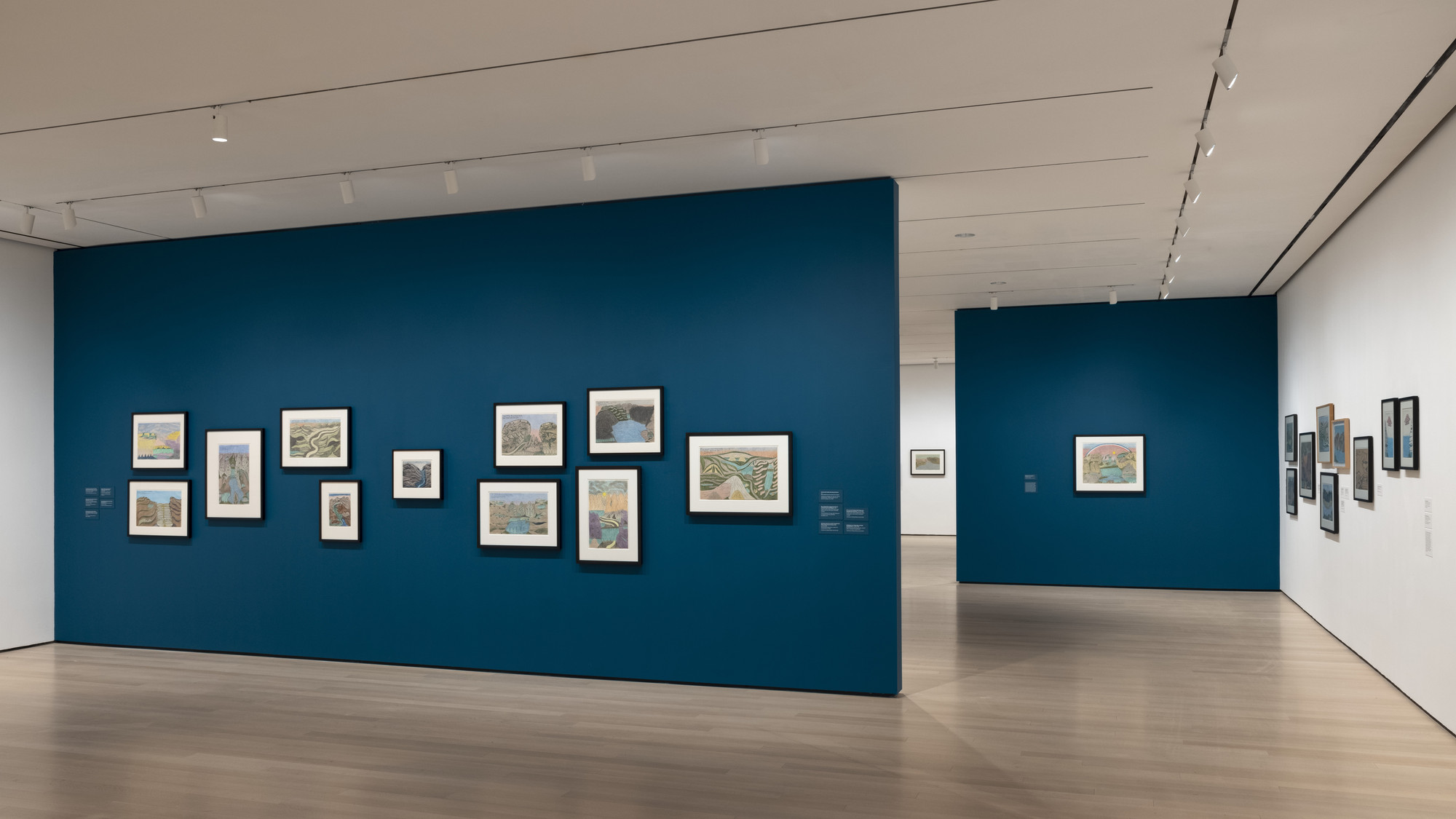 Installation view of the exhibition "Joseph Yoakum: What I Saw" | MoMA