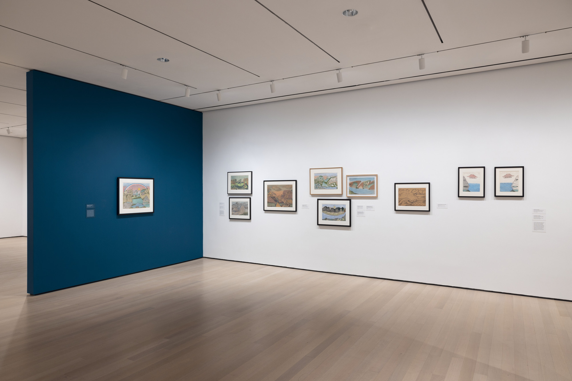 Installation view of the exhibition "Joseph Yoakum: What I Saw" | MoMA