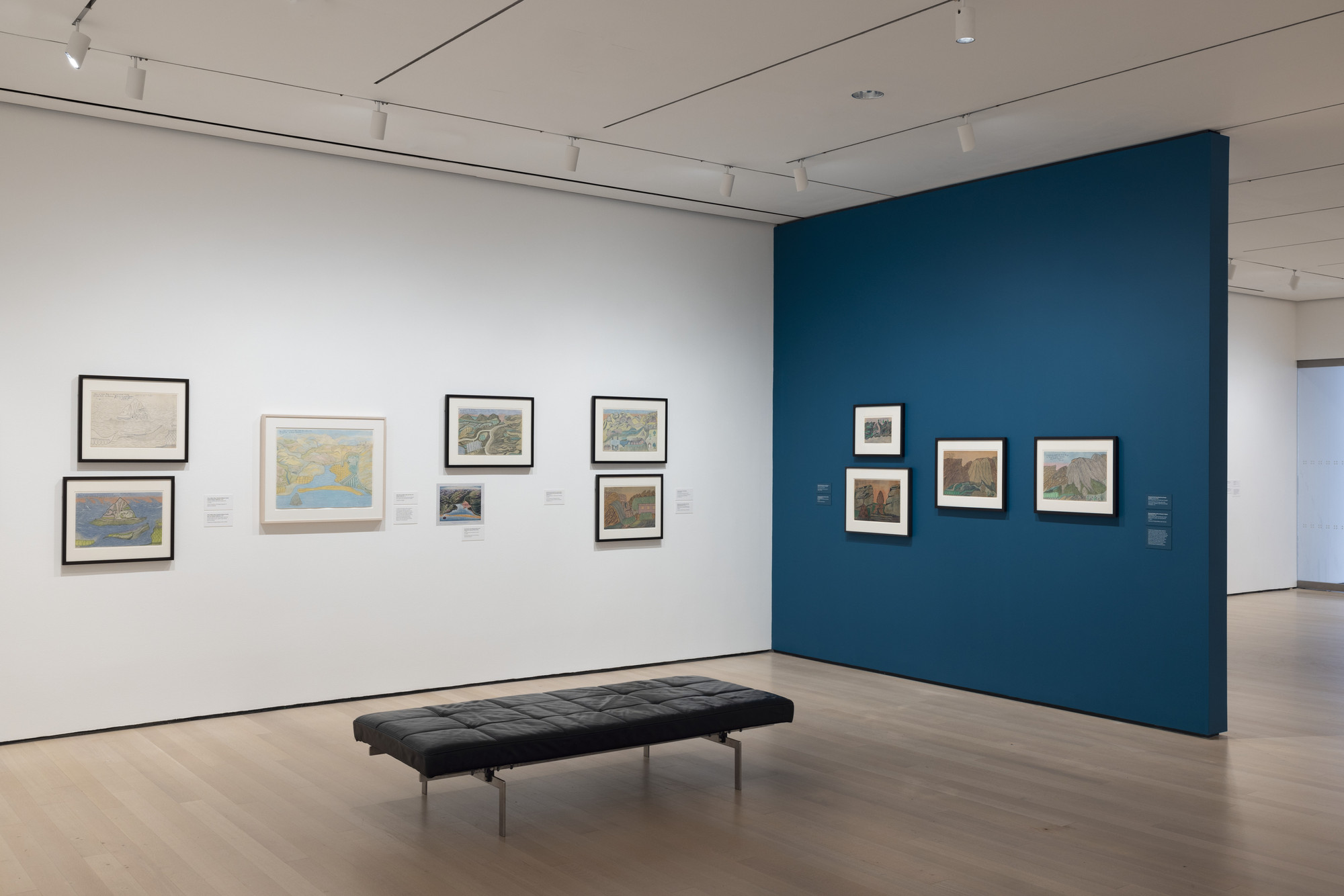 Installation view of the exhibition "Joseph Yoakum: What I Saw" | MoMA