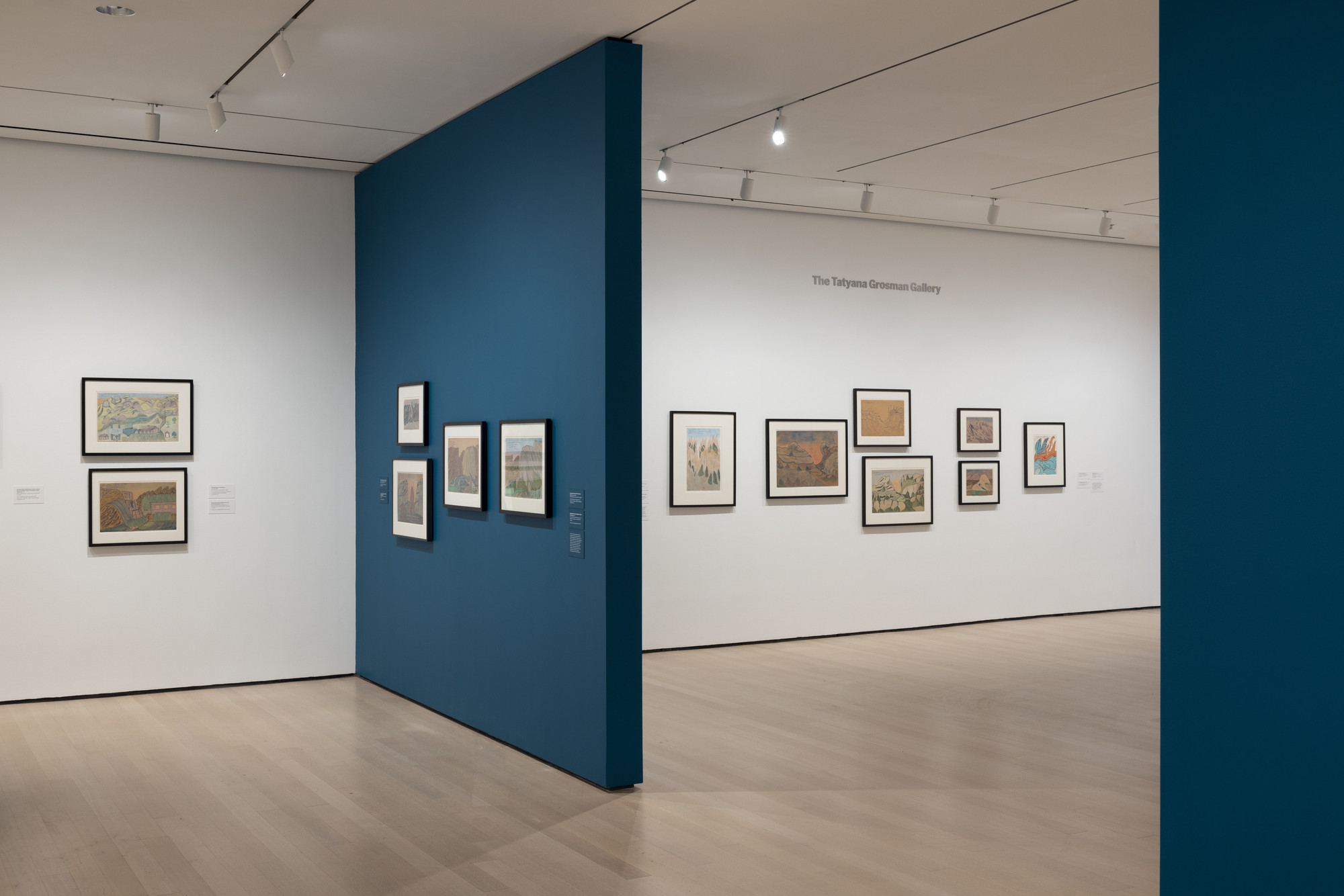 Installation view of the exhibition "Joseph Yoakum: What I Saw" | MoMA