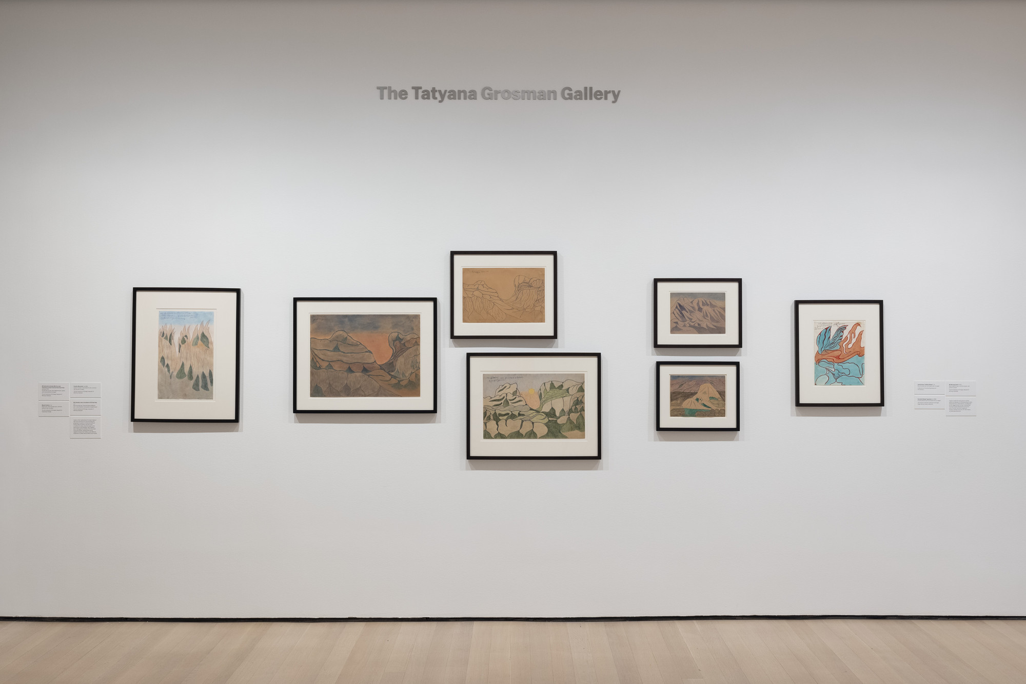 Installation view of the exhibition "Joseph Yoakum: What I Saw" | MoMA