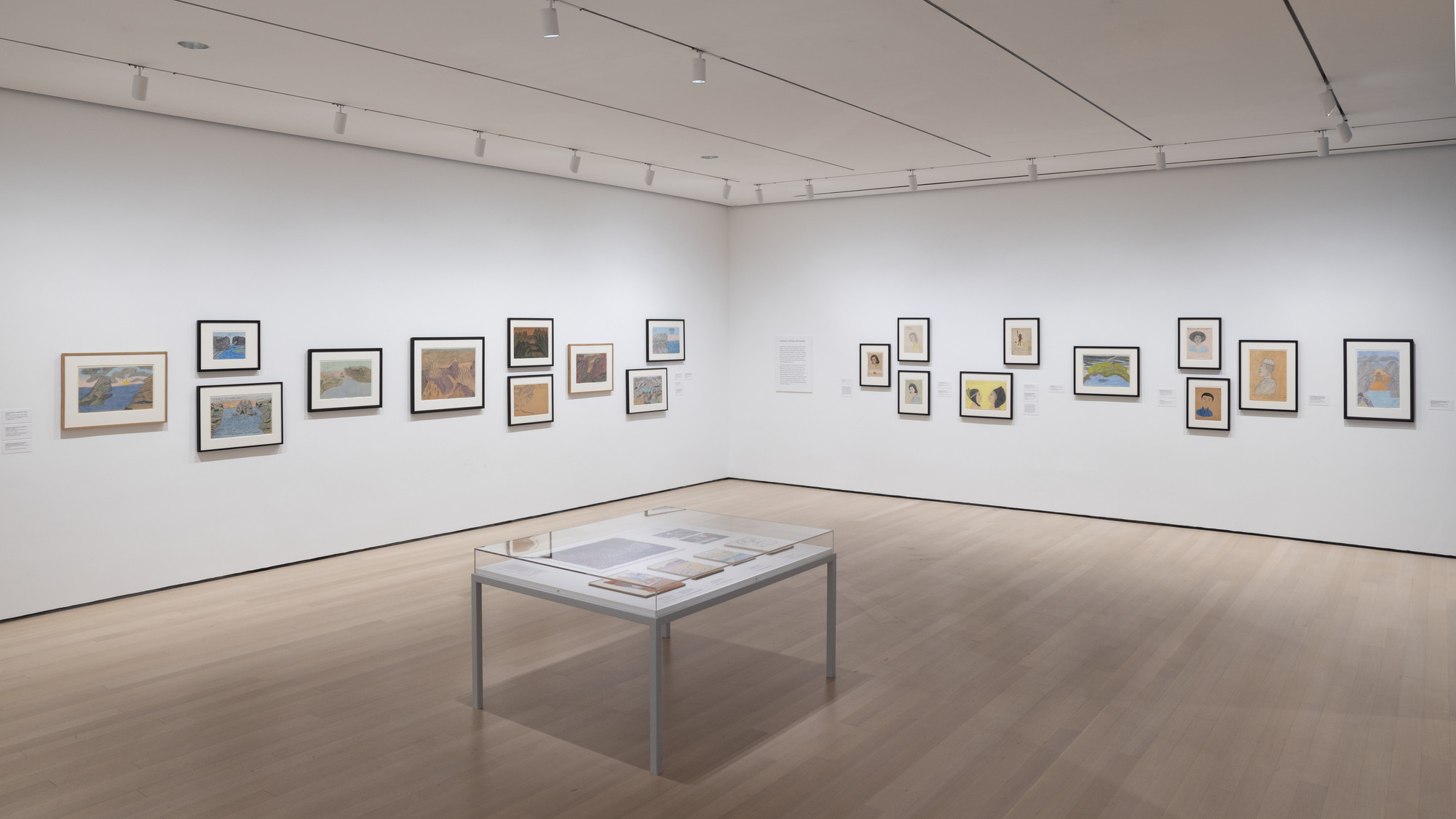 Installation view of the exhibition "Joseph Yoakum: What I Saw" | MoMA