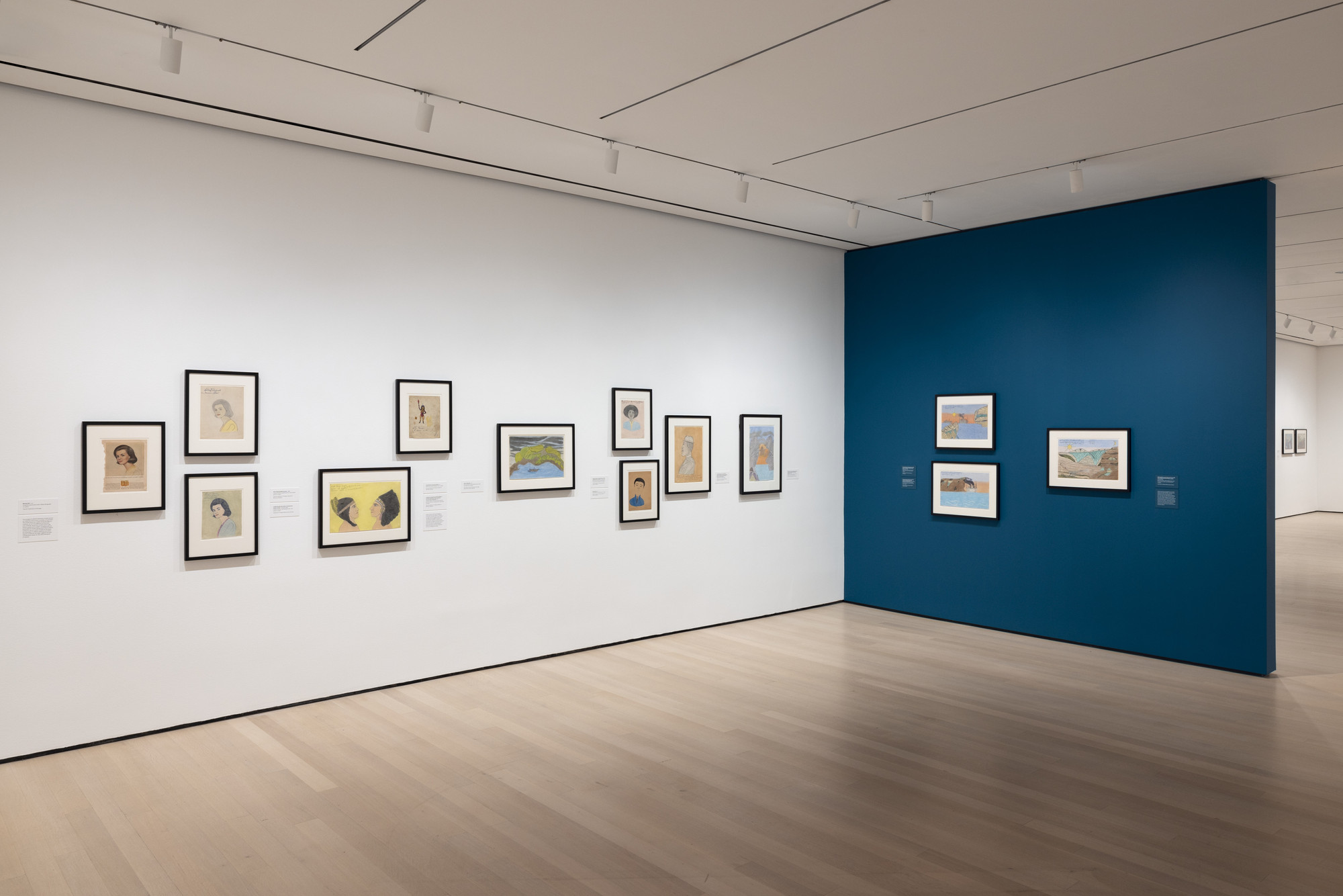 Installation view of the exhibition "Joseph Yoakum: What I Saw" | MoMA