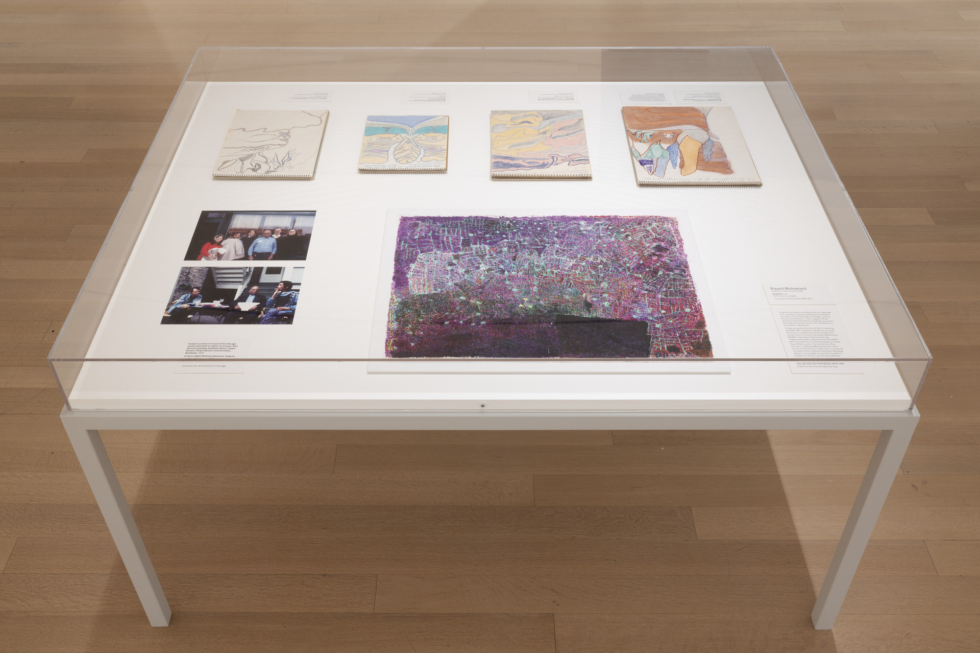 Installation view of the exhibition "Joseph Yoakum: What I Saw" | MoMA