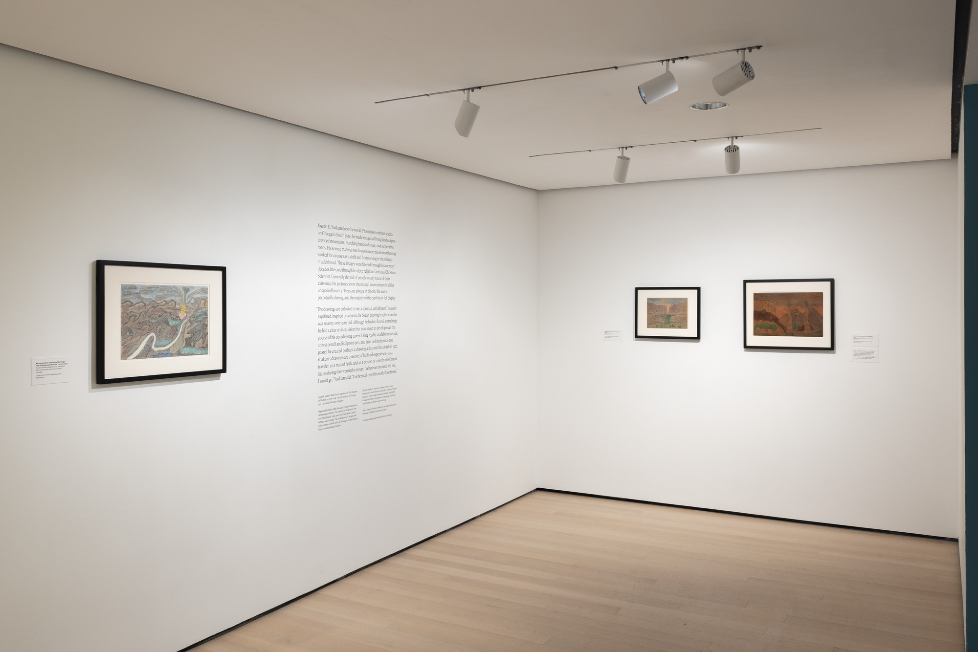 Installation view of the exhibition "Joseph Yoakum: What I Saw" | MoMA