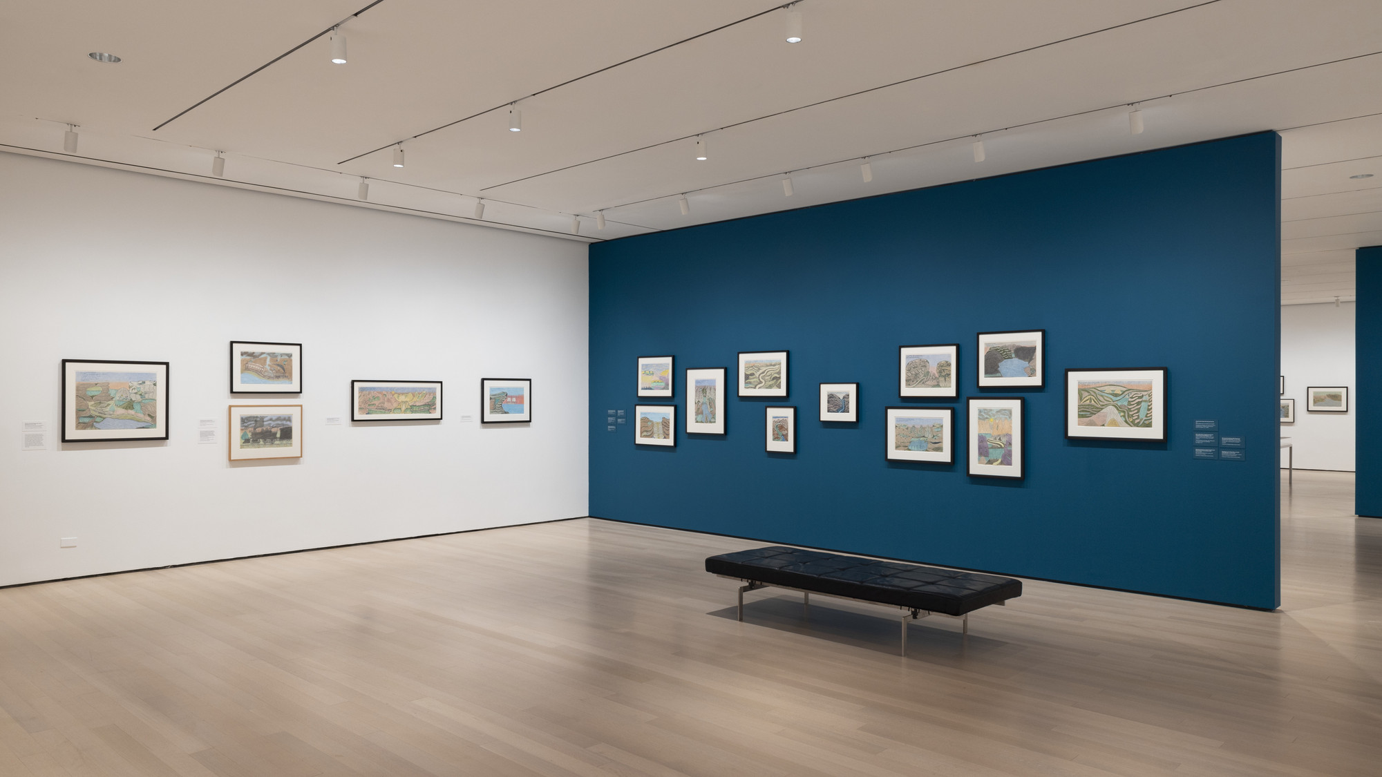 Installation view of the exhibition "Joseph Yoakum: What I Saw" | MoMA
