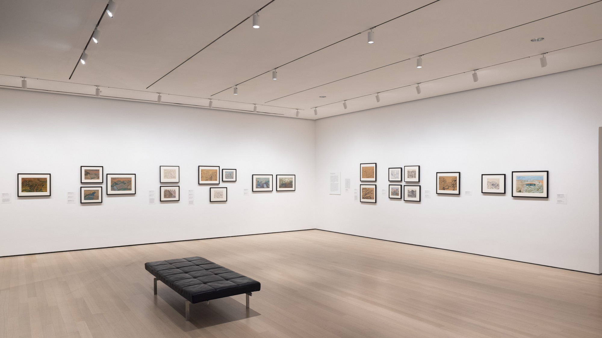 Installation view of the exhibition "Joseph Yoakum: What I Saw" | MoMA
