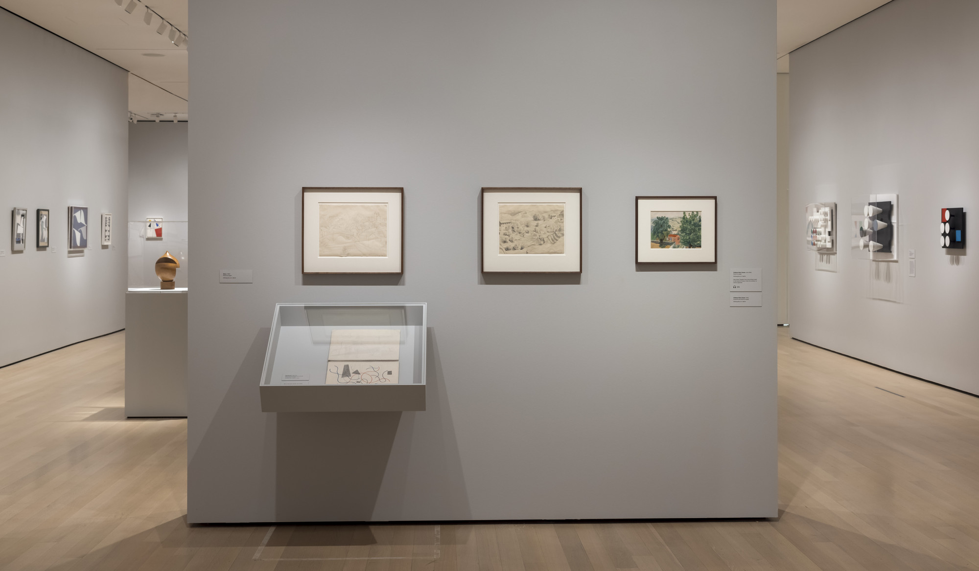 Installation view of the exhibition "Sophie Taeuber-Arp: Living ...