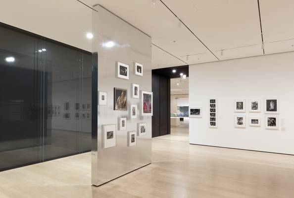 Tatiana Parcero. Interior Cartography #35. 1996 | MoMA