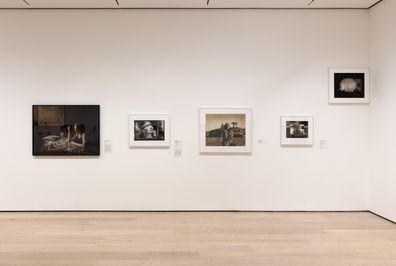 Meridel Rubenstein. Fatman with Edith. 1993 | MoMA