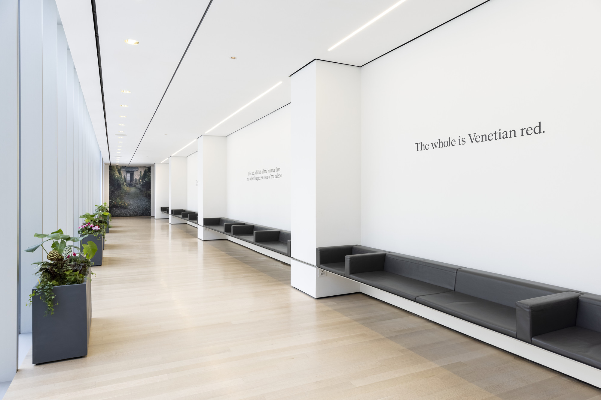 Installation view of the exhibition "Matisse: The Red Studio" | MoMA