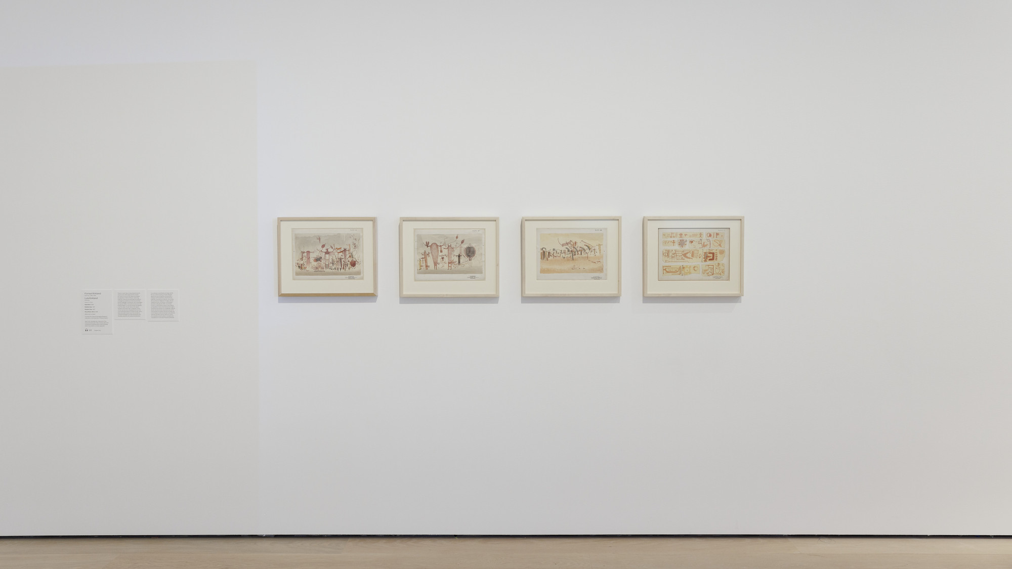 Installation view of the exhibition "Projects: Carolina Caycedo and ...