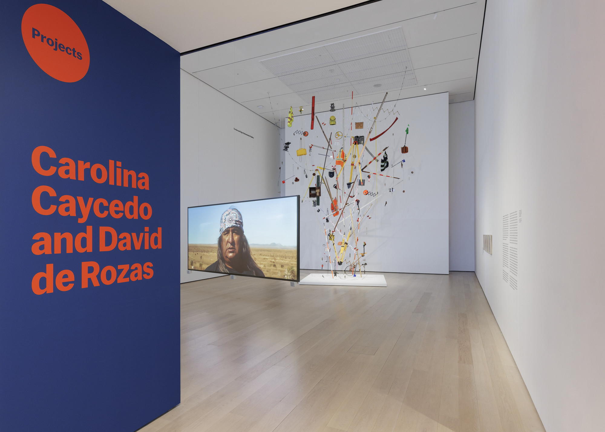 Installation view of the exhibition "Projects: Carolina Caycedo and ...