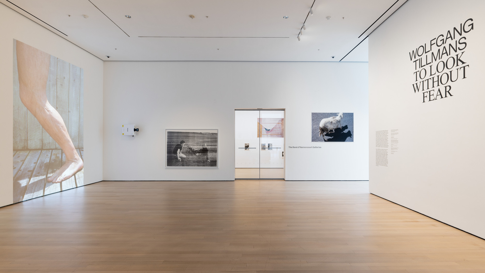 Installation view of the exhibition "Wolfgang Tillmans: To look without ...