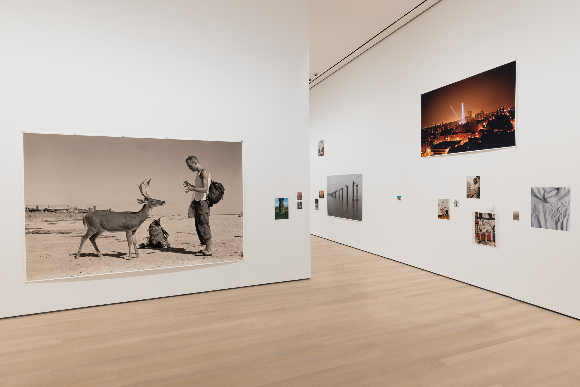 Installation view of the exhibition "Wolfgang Tillmans: To look without ...
