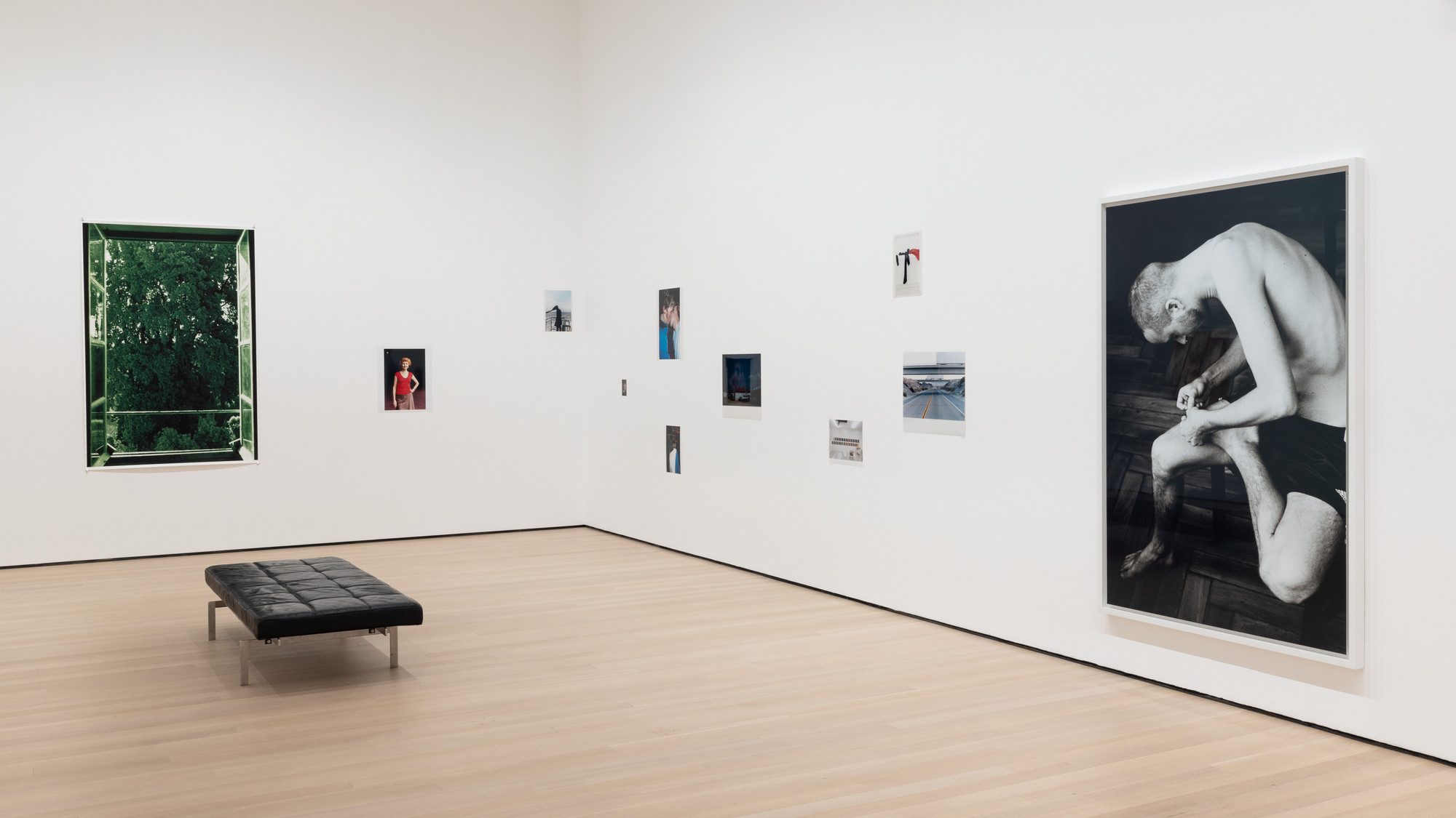 Installation view of the exhibition "Wolfgang Tillmans: To look without ...