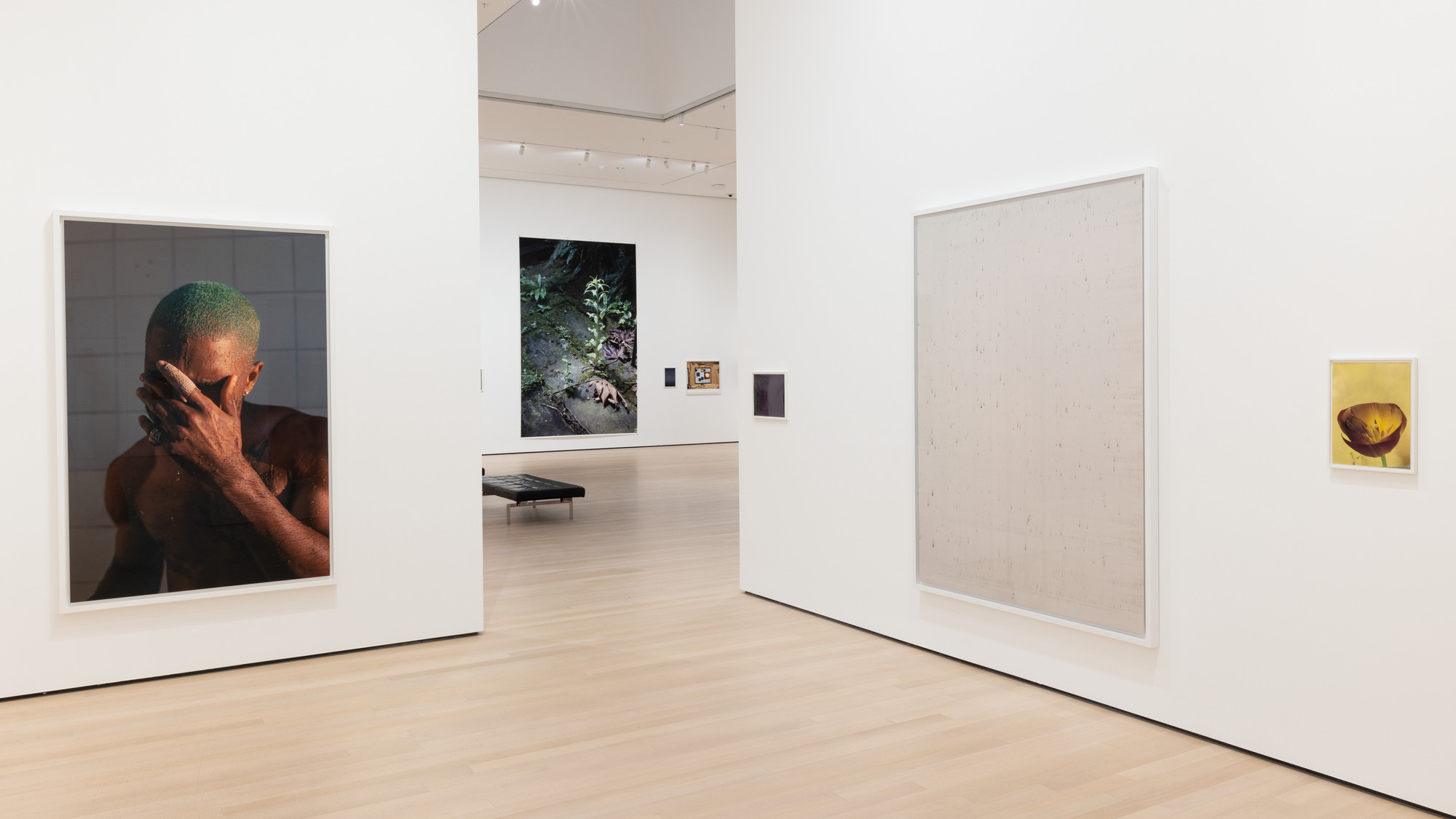 Installation view of the exhibition "Wolfgang Tillmans: To look without ...