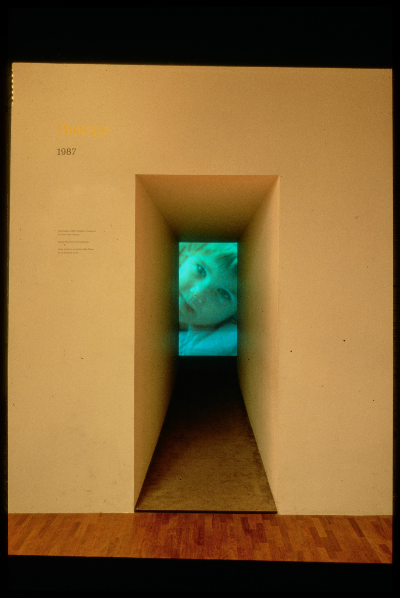 Installation view of the exhibition "Bill Viola" | MoMA