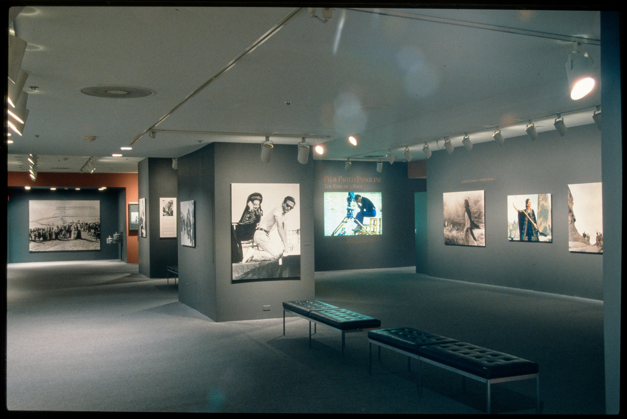 Installation view of the exhibition "Pier Paolo Pasolini: The Eyes of a ...