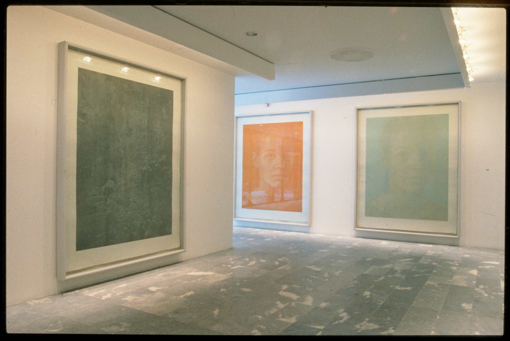 Installation view of the exhibition "Projects 22: Franz Gertsch" | MoMA
