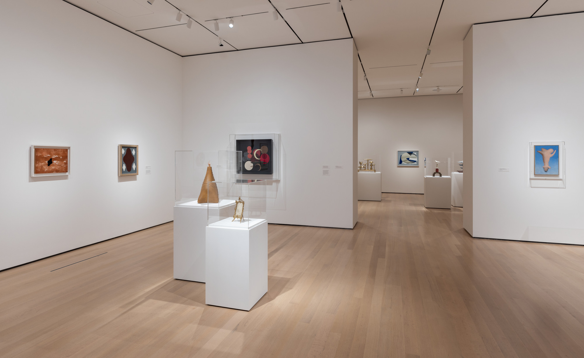 Installation view of the exhibition "Meret Oppenheim: My Exhibition" | MoMA