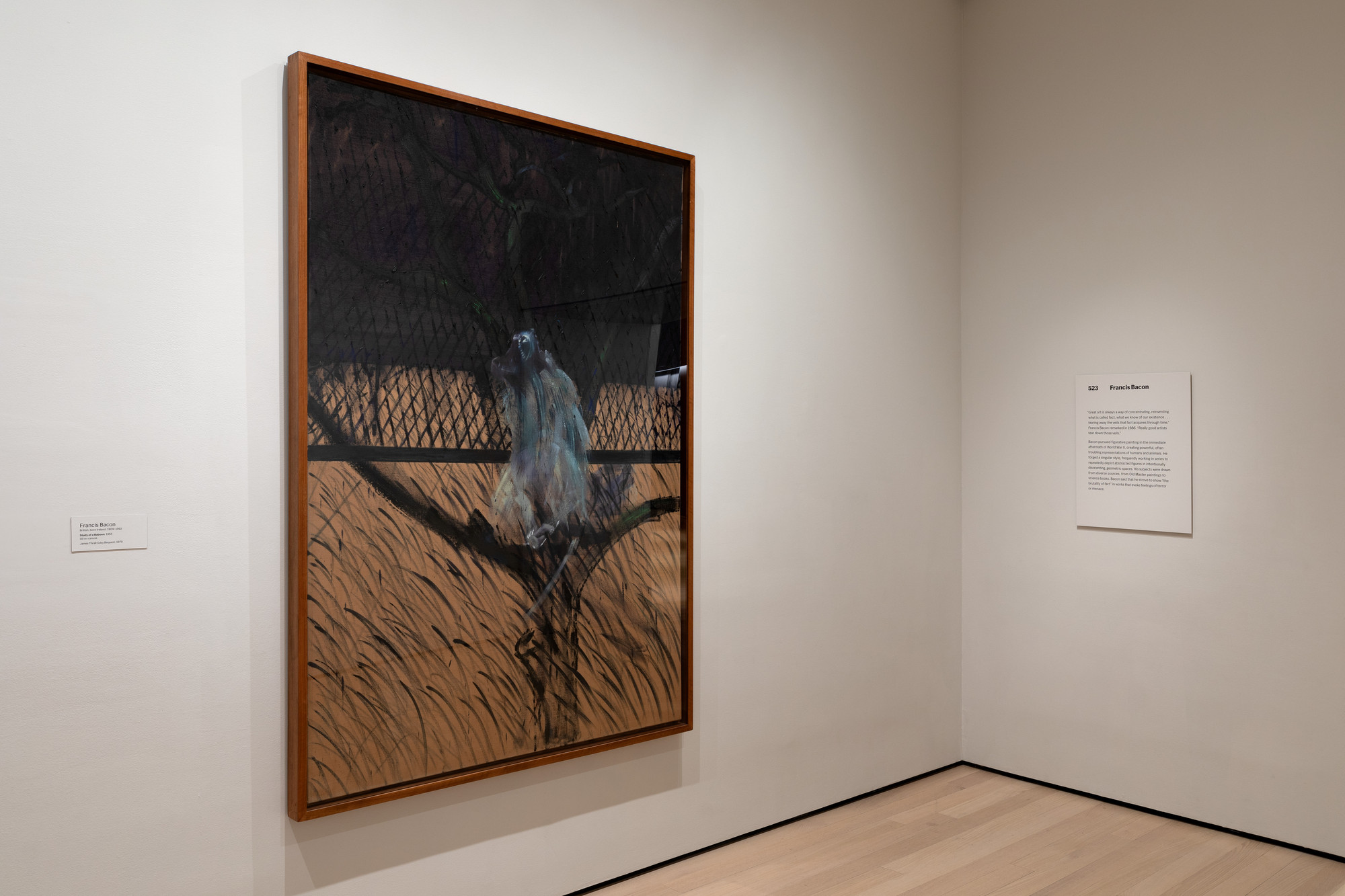 Installation view of the gallery "Francis Bacon" in the exhibition ...