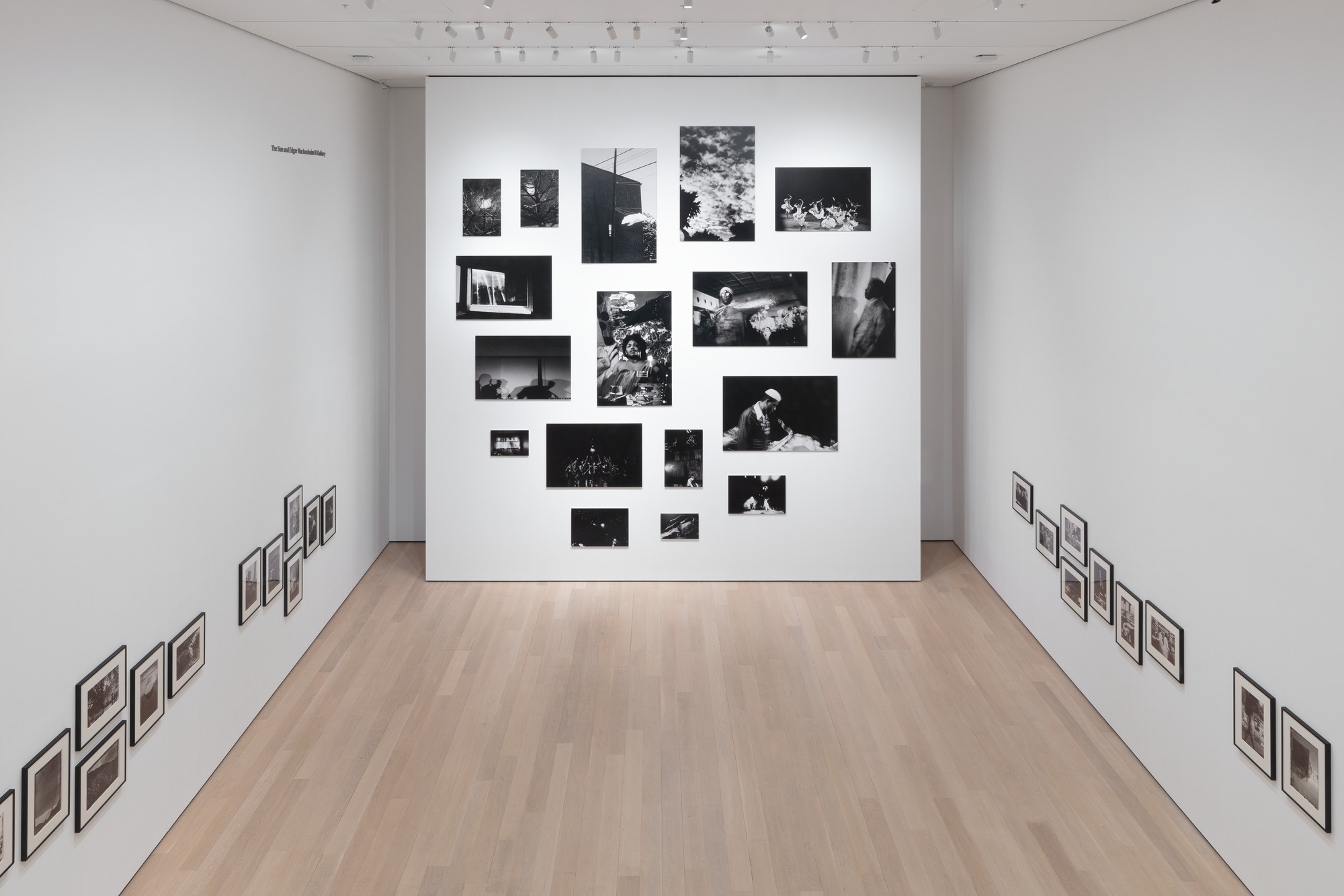 Installation view of the exhibition "Projects: Ming Smith" | MoMA