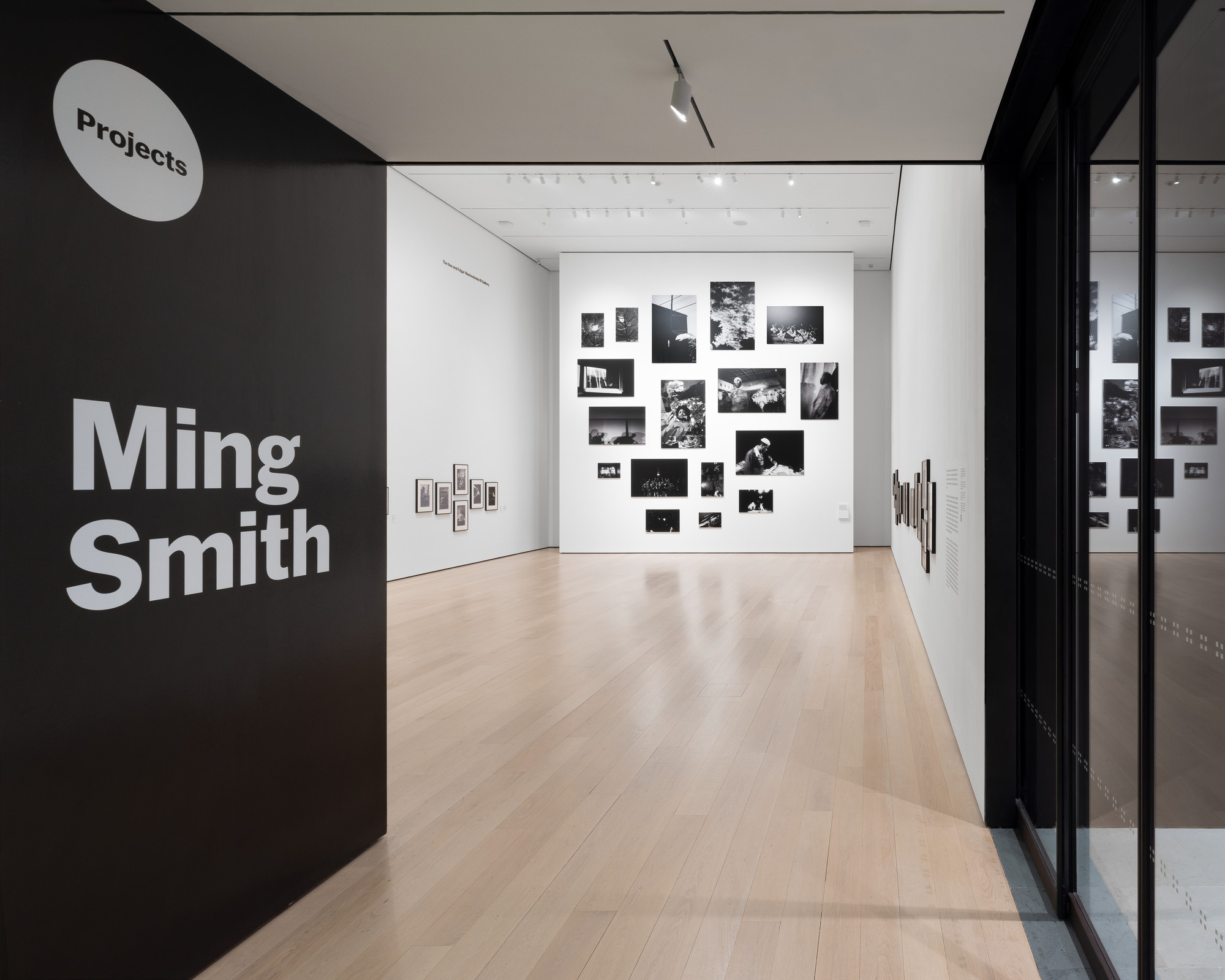 Installation view of the exhibition "Projects: Ming Smith" | MoMA