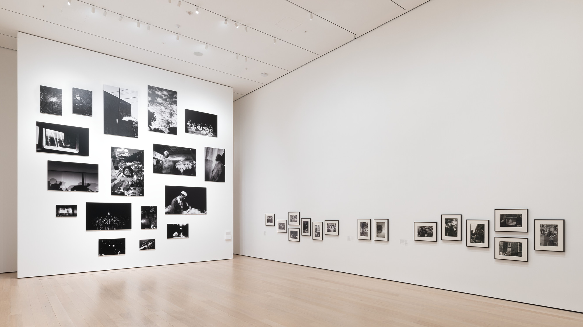 Installation view of the exhibition "Projects: Ming Smith" | MoMA