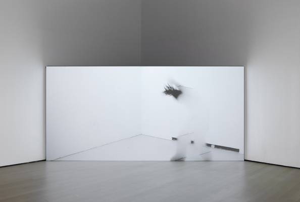 Sondra Perry. Double Quadruple Etcetera Etcetera I & II. 2013 | MoMA