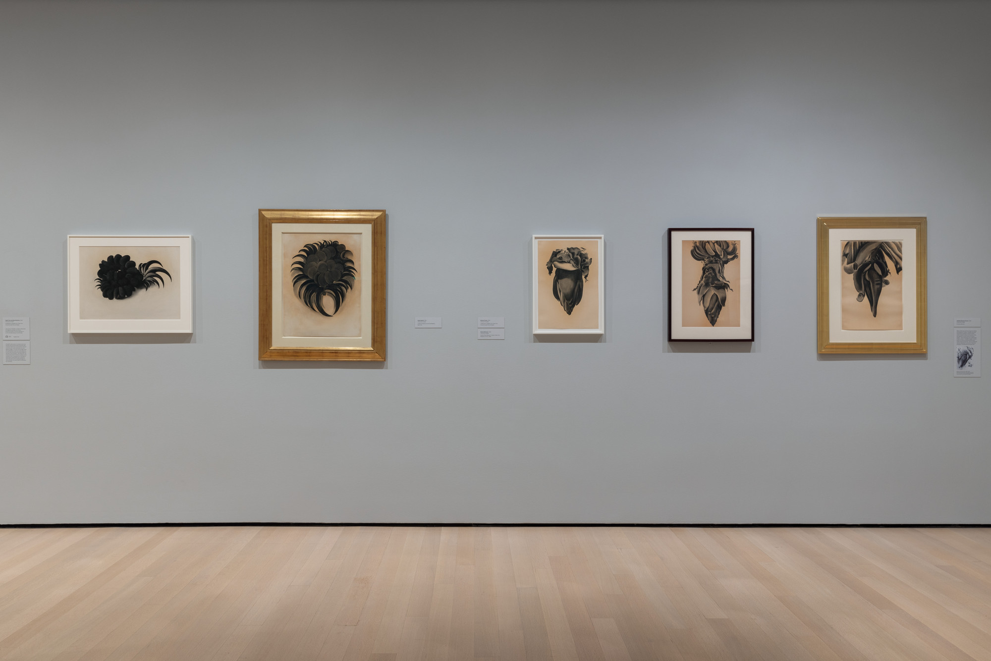 Installation view of the exhibition "Georgia O’Keeffe: To See Takes ...