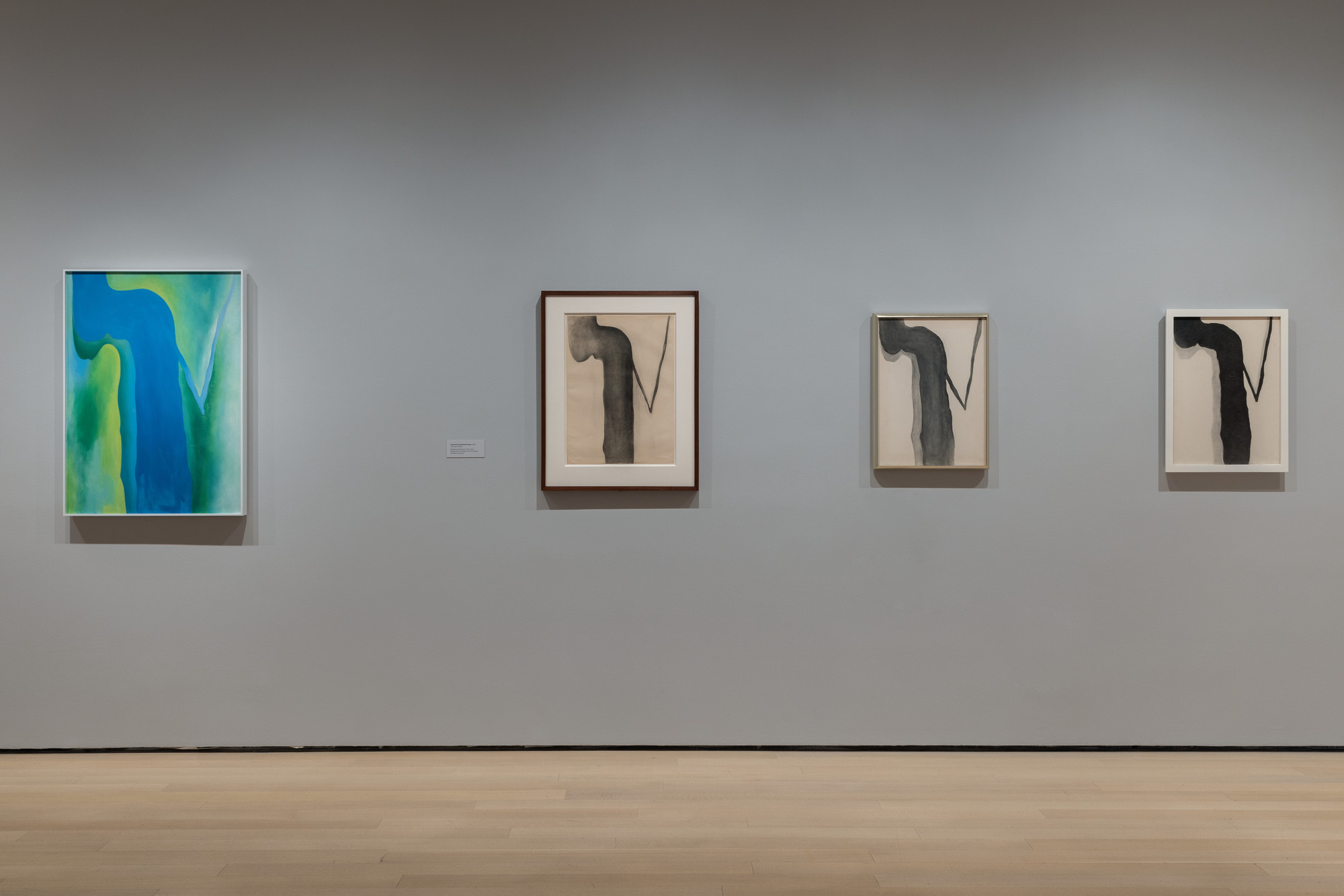 Installation view of the exhibition "Georgia O’Keeffe: To See Takes ...