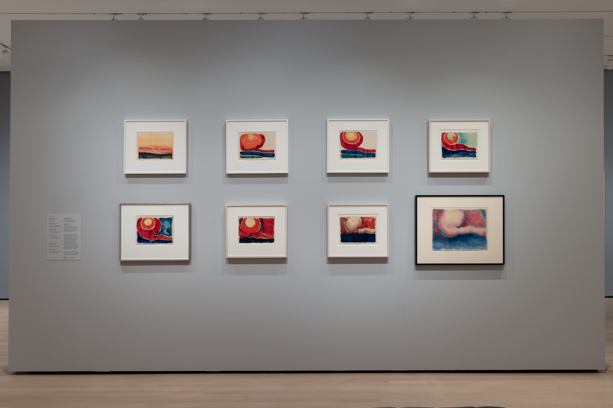 Installation view of the exhibition "Georgia O’Keeffe: To See Takes ...