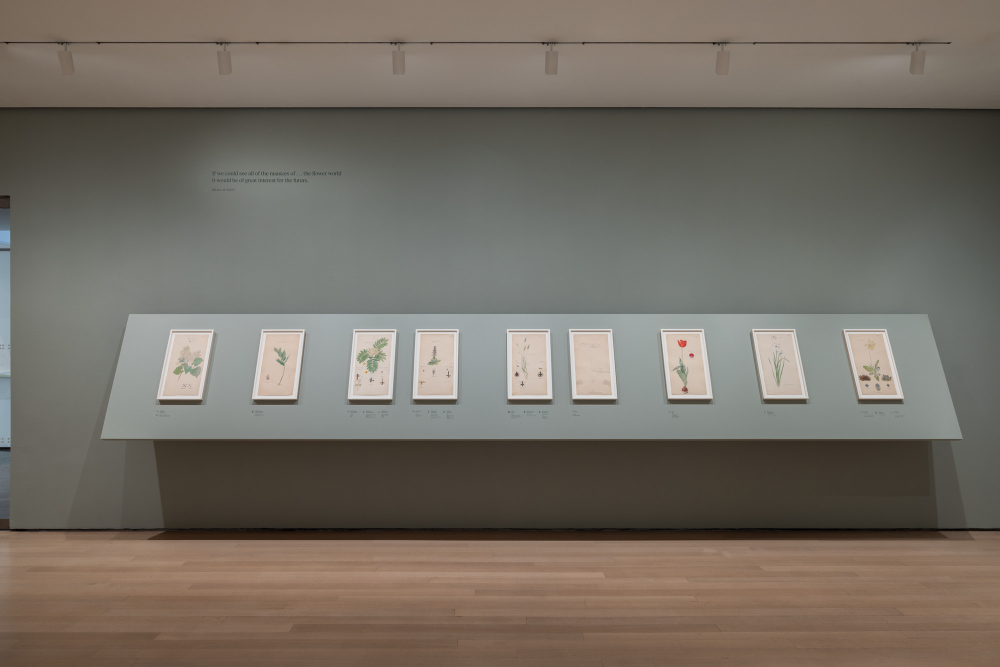 Installation view of the exhibition “Hilma af Klint: What Stands Behind ...