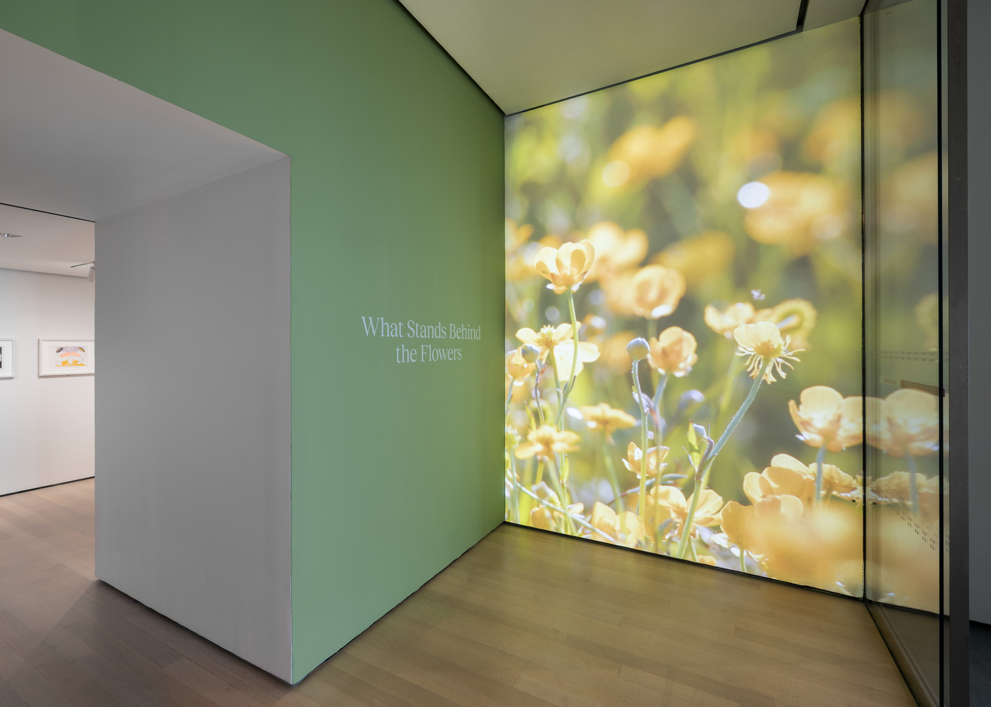Installation view of the exhibition “Hilma af Klint: What Stands Behind ...