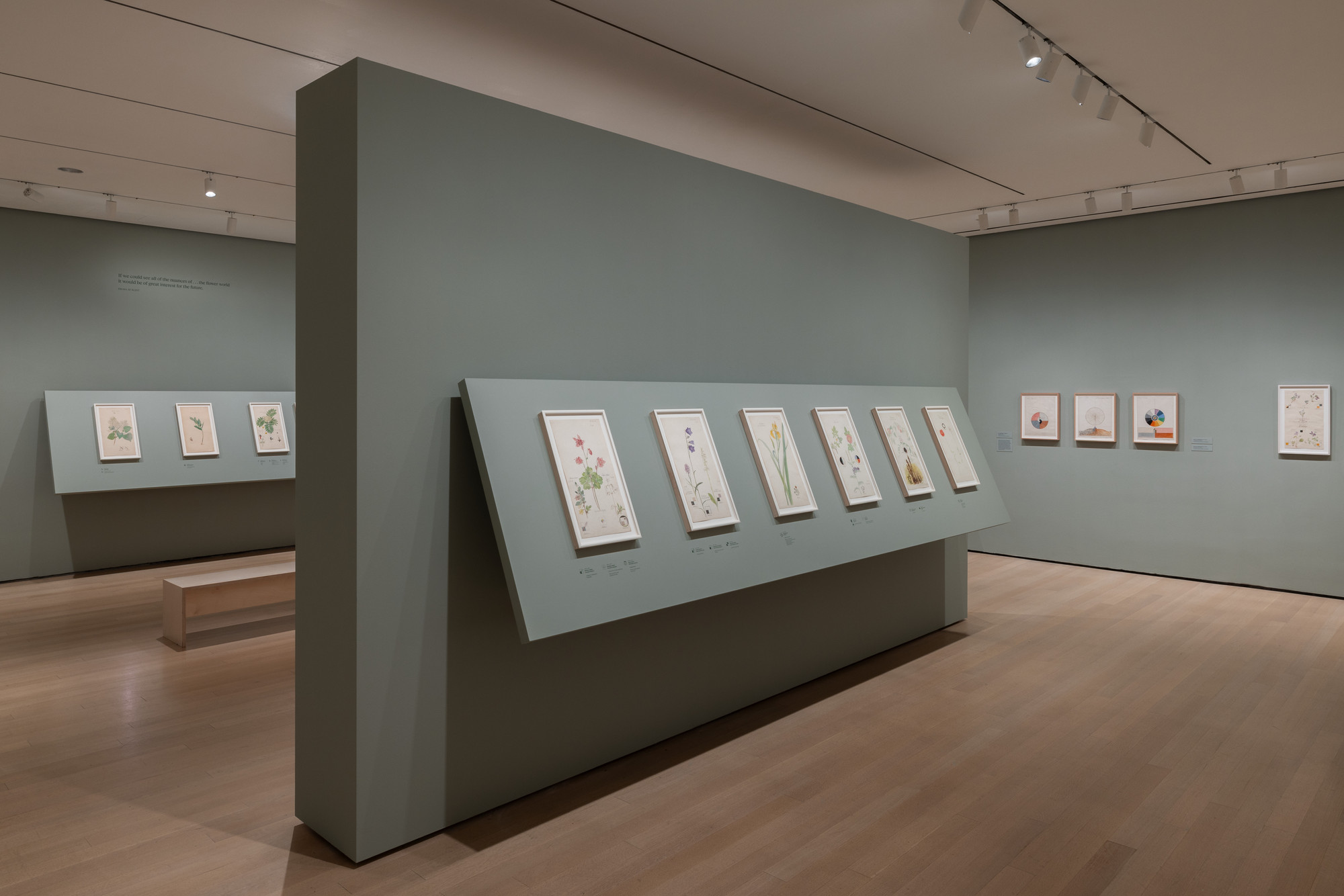 Installation view of the exhibition “Hilma af Klint: What Stands Behind ...