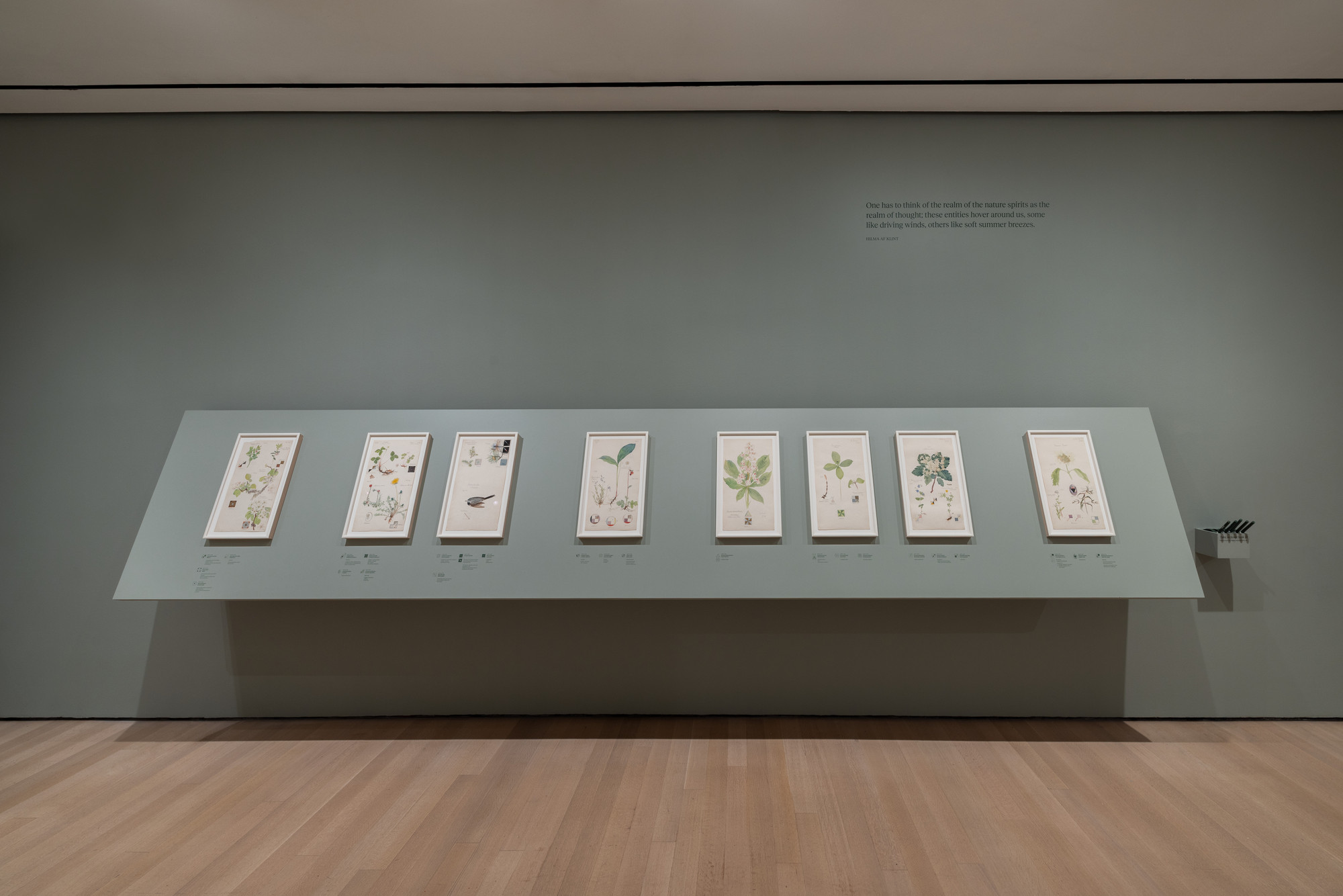 Installation view of the exhibition “Hilma af Klint: What Stands Behind ...