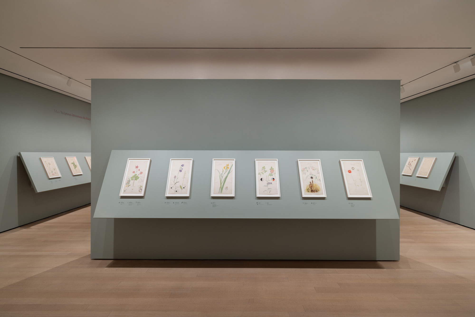 Installation view of the exhibition “Hilma af Klint: What Stands Behind ...