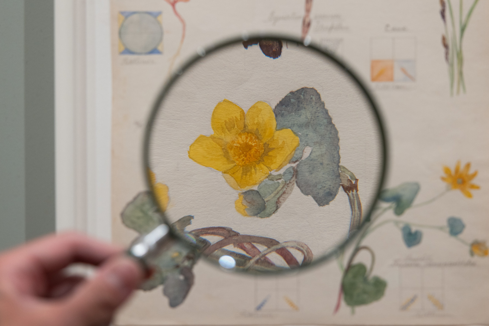 Installation view of the exhibition “Hilma af Klint: What Stands Behind ...