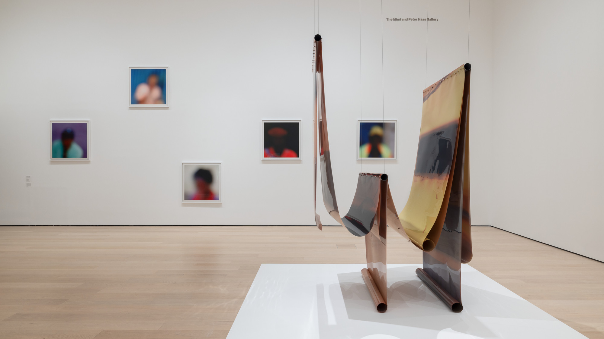 Installation view of the gallery "What is Parasite and What is Kin?” in ...