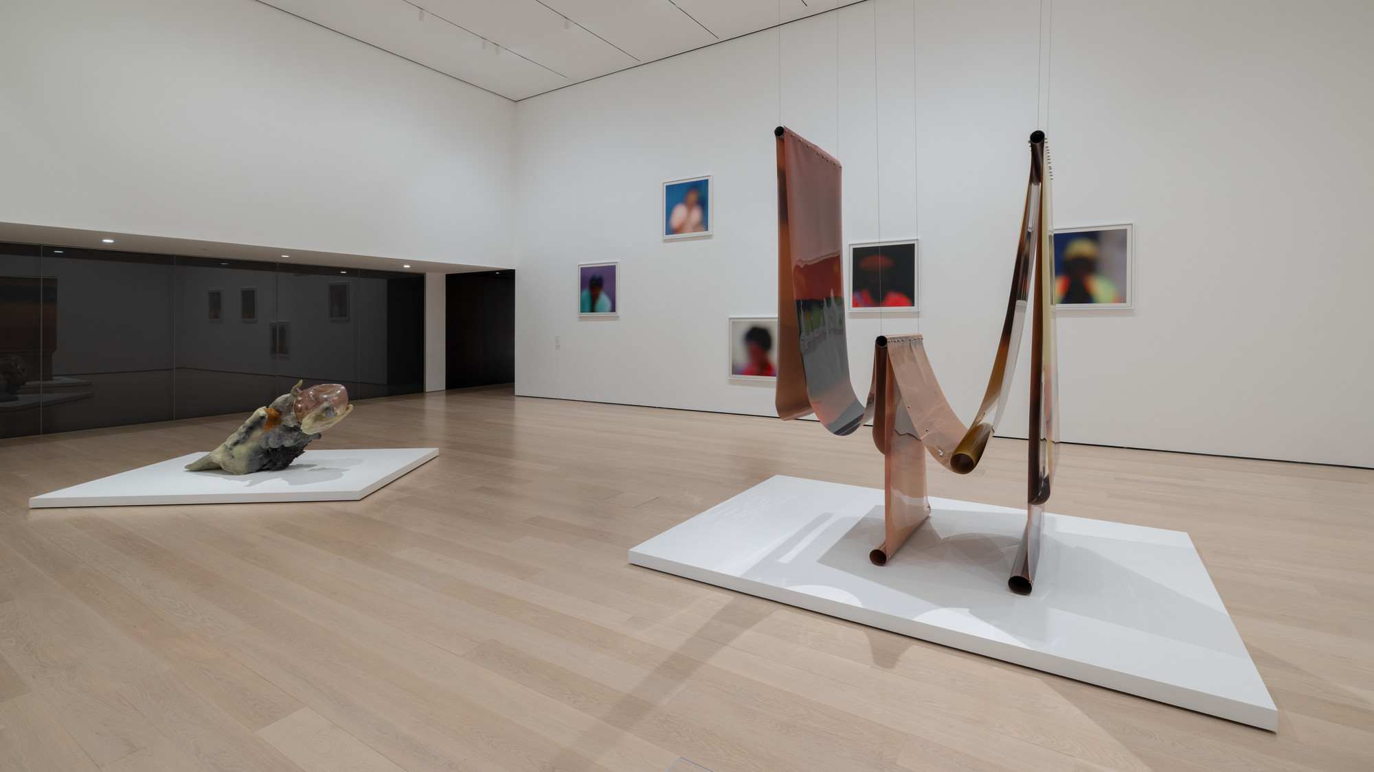 Installation view of the gallery "What is Parasite and What is Kin?” in ...