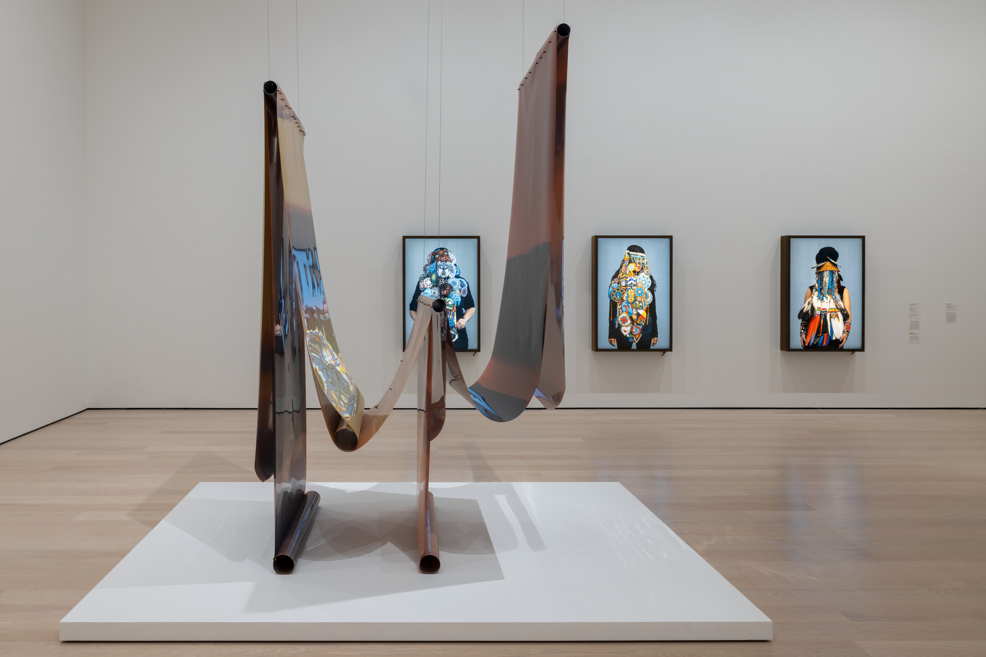 Installation view of the gallery "What is Parasite and What is Kin?” in ...