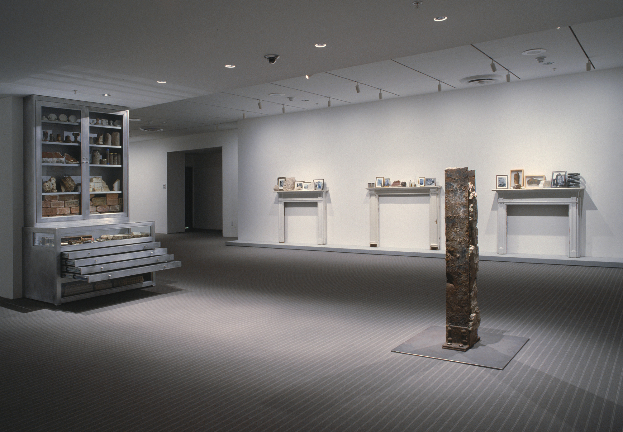 Installation view of the exhibition "Projects 82: Mark Dion - Rescue ...